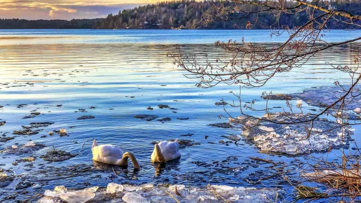 8 Places on Earth Where Sun Never Sets | Midnight Sun