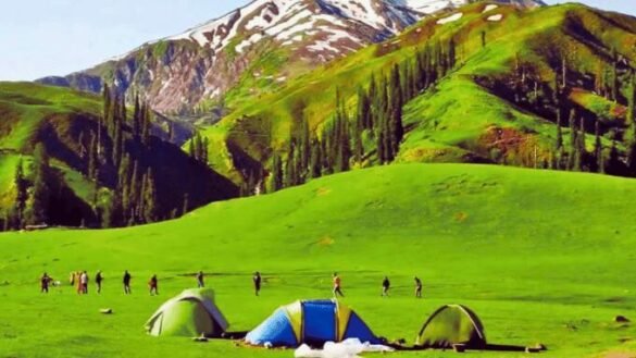 Shogran Valley And Siri Paye Meadows | Travel Guide 2024